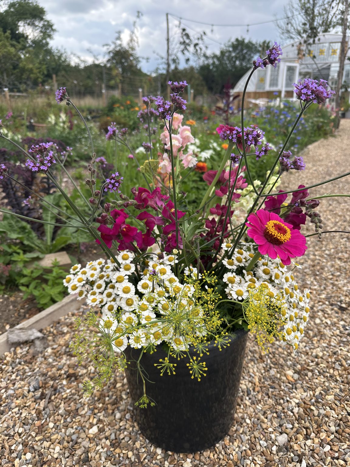 Our Flowers – Folly Oast