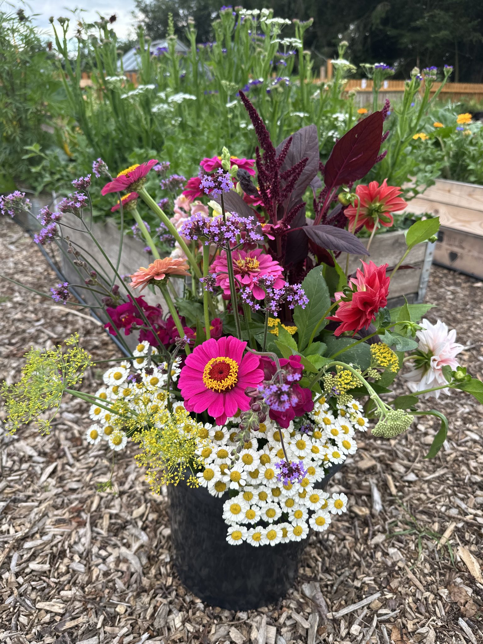 Our Flowers – Folly Oast